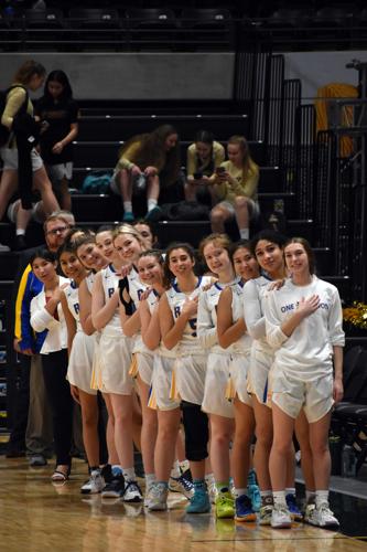 Monroe falls to Sitka in state semifinals | High School | newsminer.com