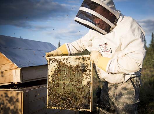 Clear Space Force Station gets partnership award from Fish and Wildlife ...