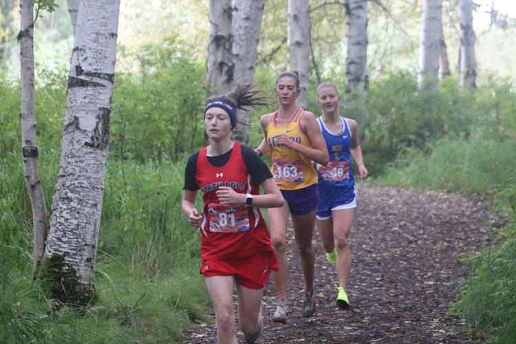 Previewing the Region 6 Cross Country Championships | High School ...