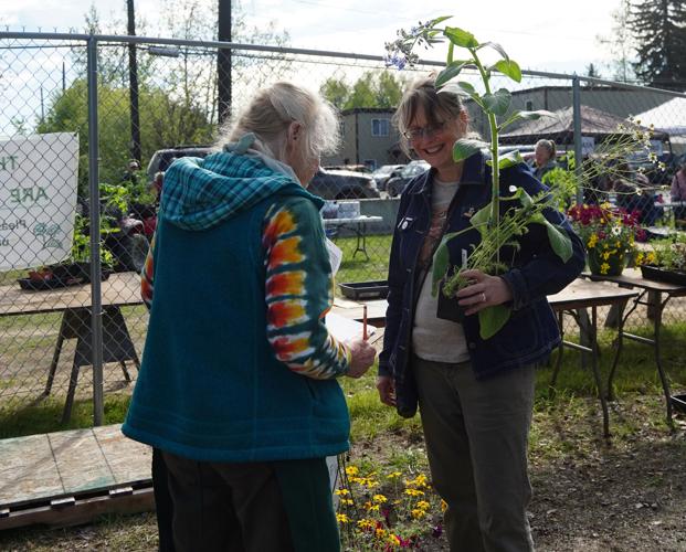 Hospice fundraiser blossoms again in Fairbanks | Local News | newsminer.com