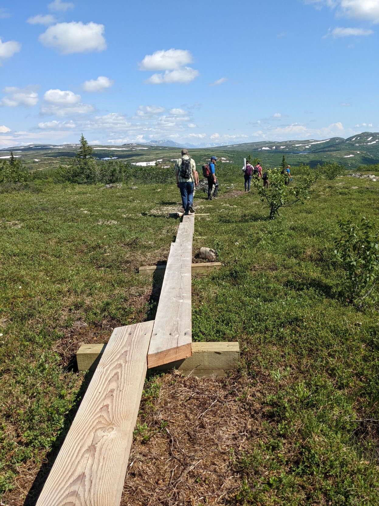 Hikers invited to check out new Curry Ridge Connector Trail in Denali ...