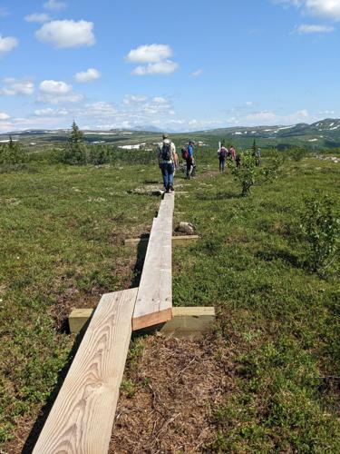 Hikers invited to check out new Curry Ridge Connector Trail in Denali ...