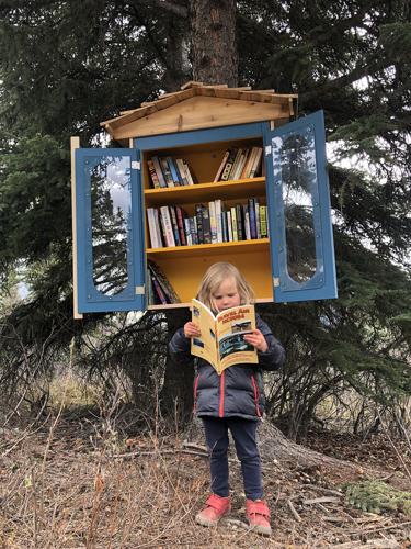 Free lending libraries offer easy access to reading | Kris Capps ...
