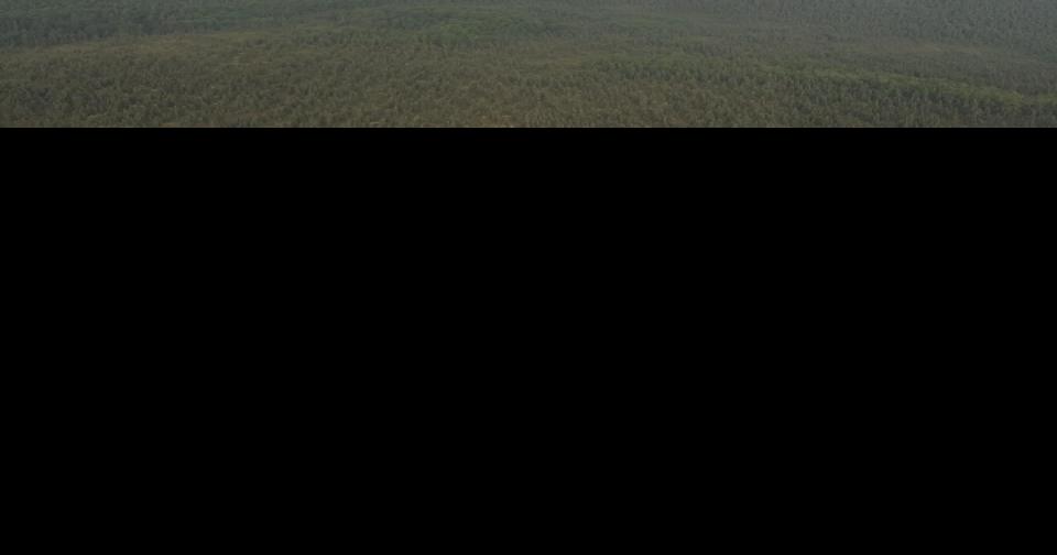 More wildfires start; Tanana fires hold, Anaconda Fire priority rises ...