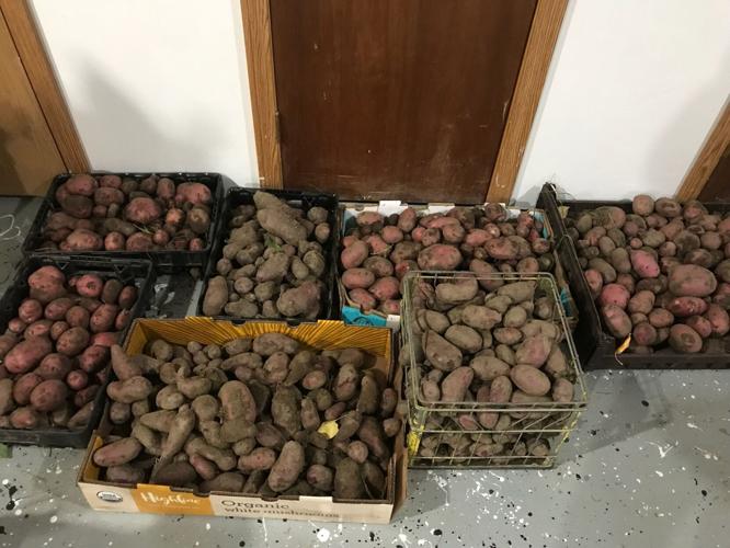 From farm to table: North Pole potatoes feed the Grange community ...