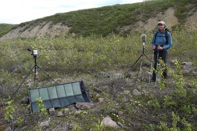 Technology captures the sounds of Denali, Alaska | Latitude 65 ...