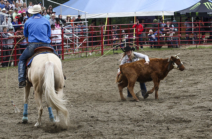 Rare Fairbanks rodeo draws a crowd at Tanana Valley State Fair | Local ...