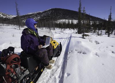 Artist-In-Residence applications open for Alaska's Wild Places ...