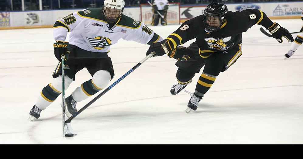 Top line pushes Seawolves hockey past AIC | UAF Nanooks | newsminer.com