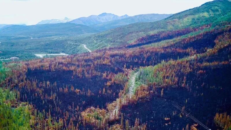 Denali reopens hiking trails, crews demobilize Gold Creek King Fire ...