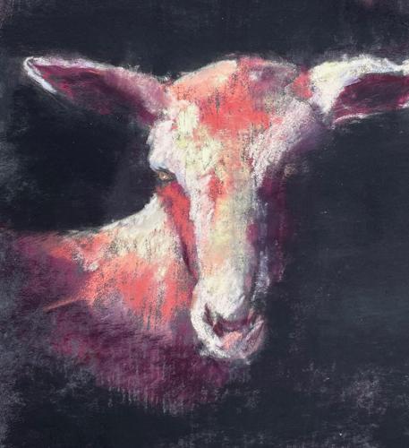 Capturing sentience in scintillating colors | Sundays | newsminer.com