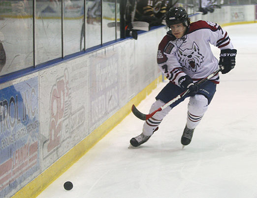 Ice Dogs bounce Brown Bears in series opener. | Ice Dogs | newsminer.com