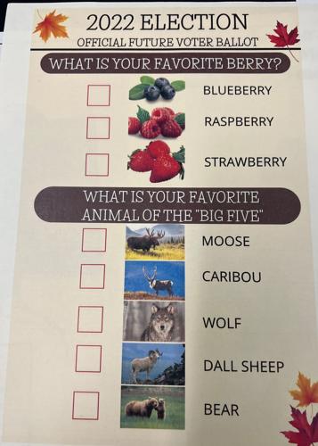 Early results decrease size of governing boards in Denali Borough ...