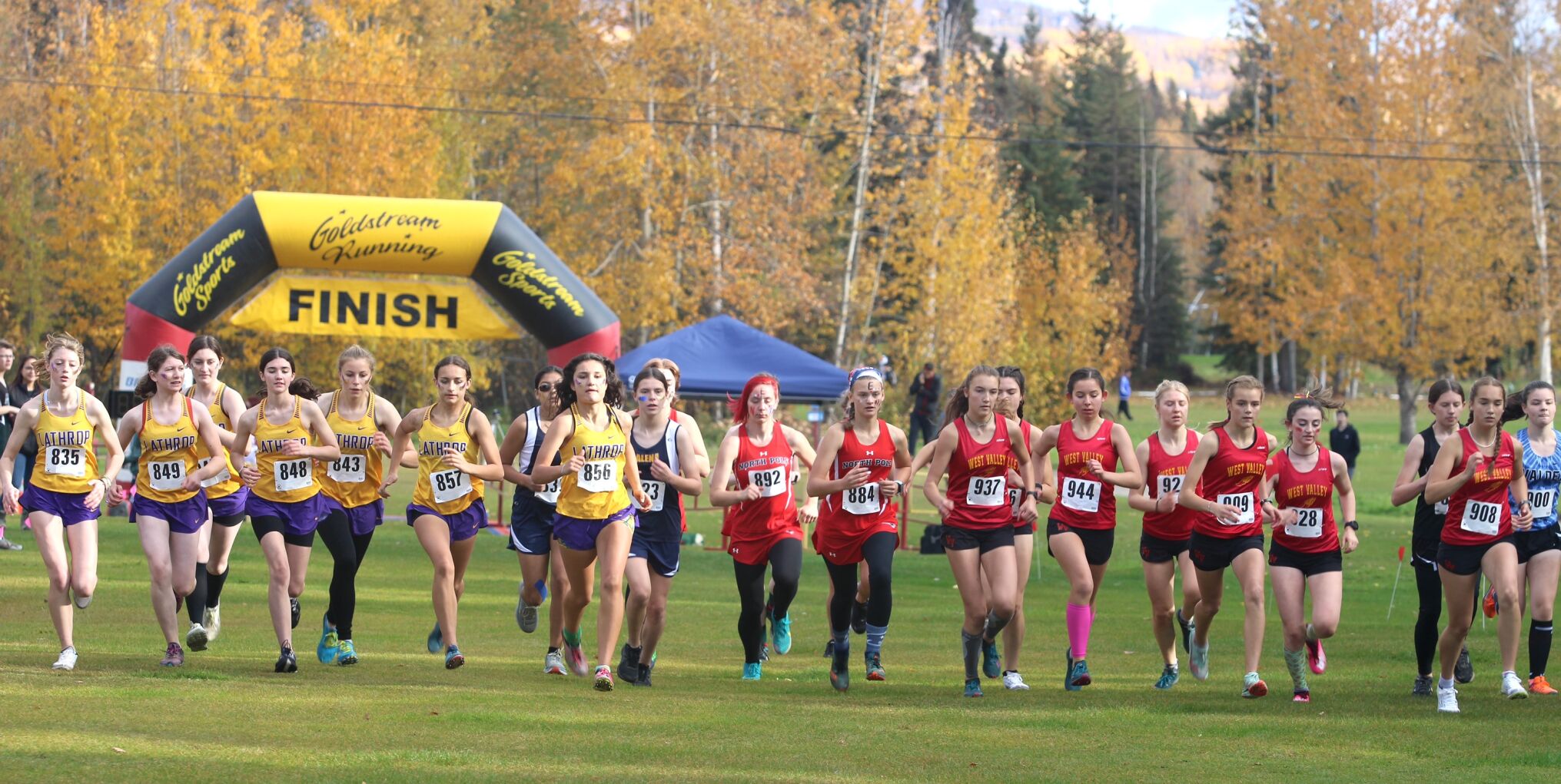 Fairbanks-area prep cross country preview | High School | newsminer.com