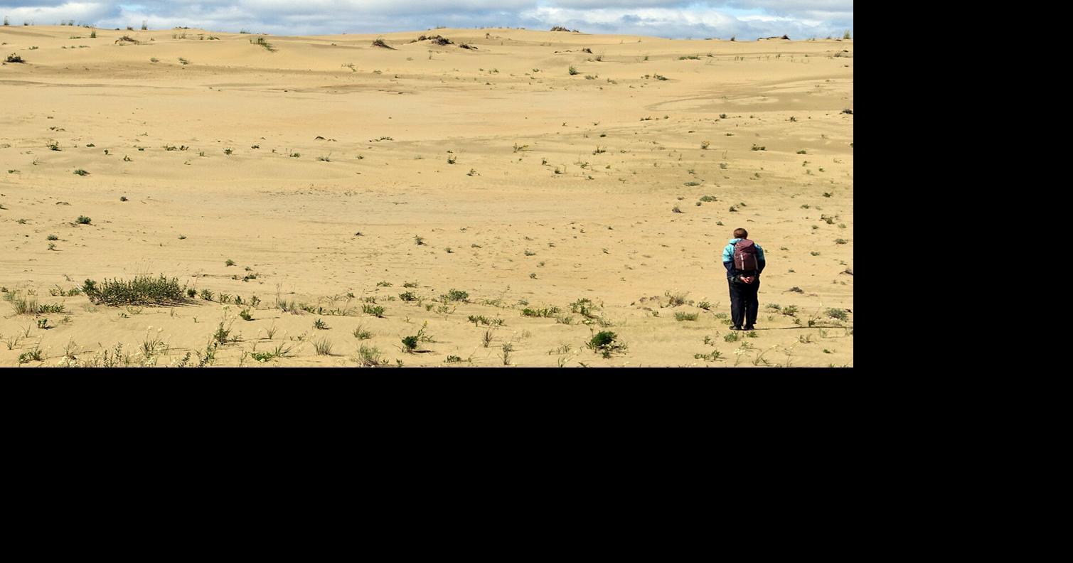 A peak experience in the Alaska desert | Alaska Science Forum ...