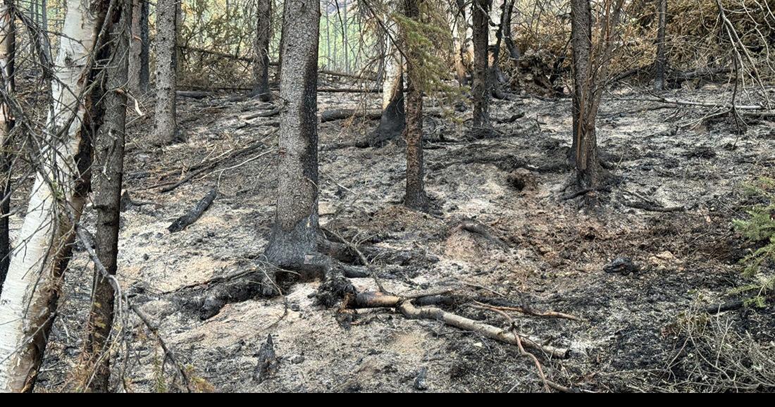 Riley Fire | | newsminer.com