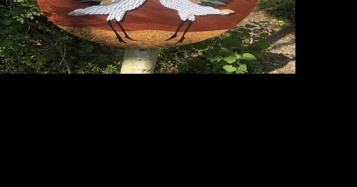 Healy artist's first solo show captures creativity from the everyday ...