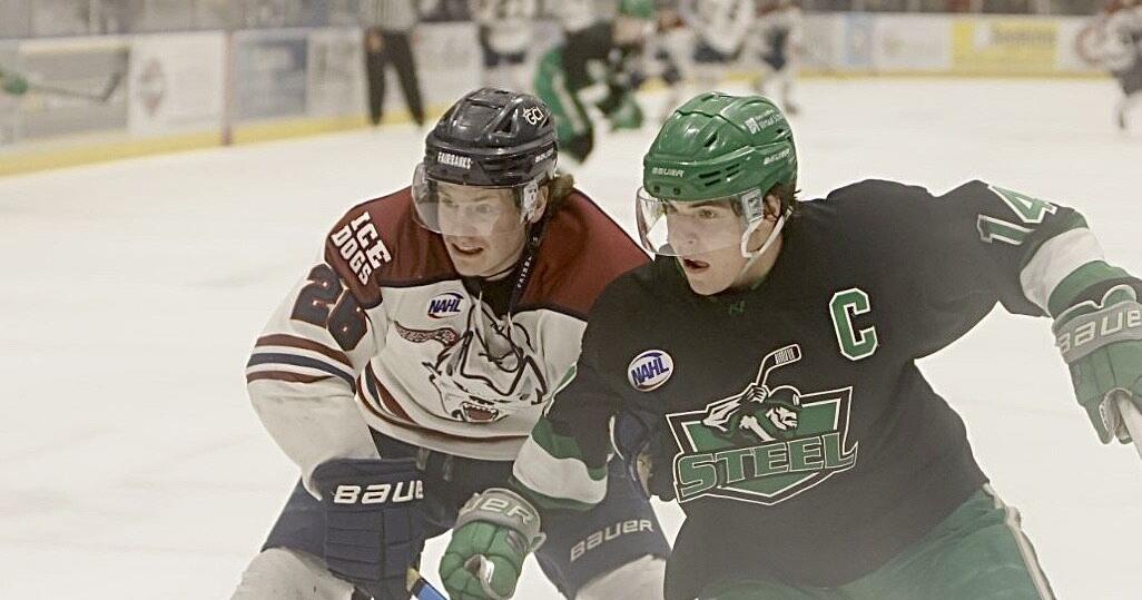 Loss to Chippewa ends Ice Dogs' playoff hopes | Ice Dogs | newsminer.com