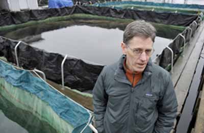 Juneau hatchery’s fry numbers not chump change | Alaska News ...