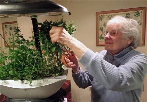 University of Alaska dedicates herb book to Fairbanks expert | Alaska ...