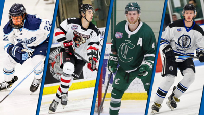 Nanooks release list of new defenders joining hockey team | Sports ...