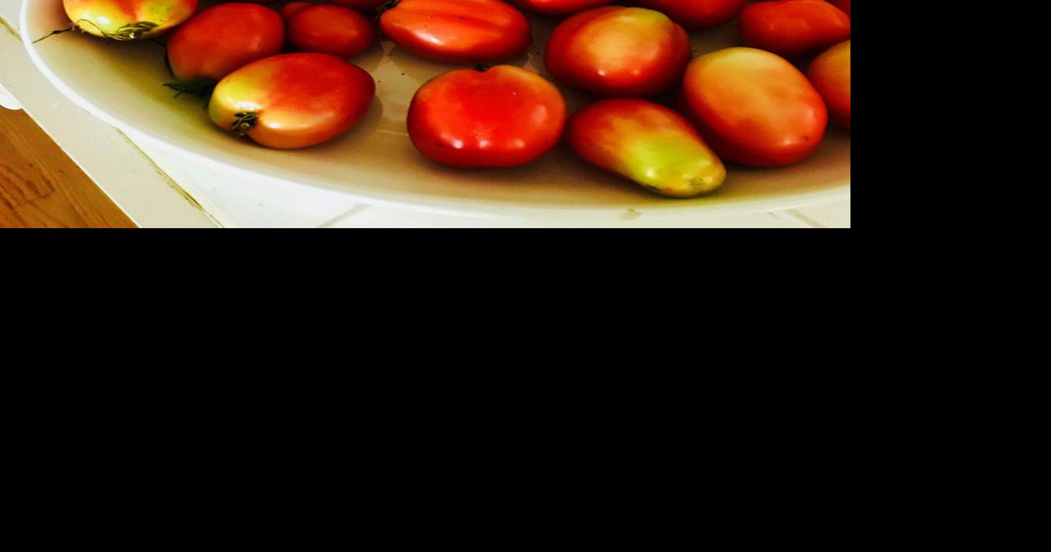 Dan Rodricks: 32 things I learned about every day cooking | Food ...