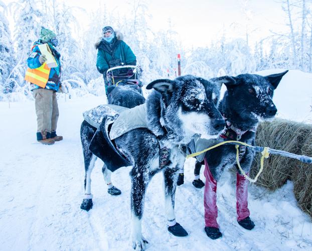 Dan Kaduce takes first place in Summit Quest 300 | Alaska News ...