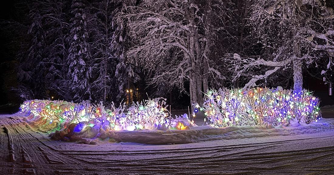 Season of lights | Photo Of The Day | newsminer.com