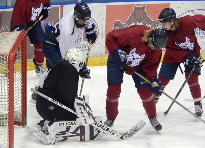 Brown Bears’ impact on Ice Dogs extends beyond rivalry | Ice Dogs ...