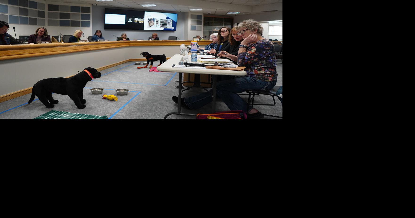 Planned borough animal shelter replacement highlighted in recent ...