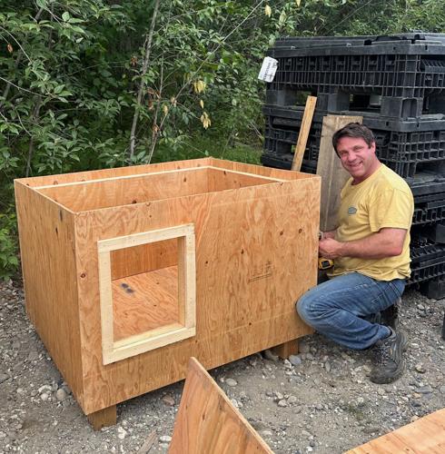 Straw For Dogs provides shelter for pet dogs | Kris Capps | newsminer.com