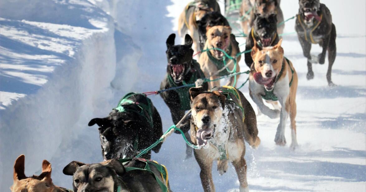 Buddy Streeper wins 76th annual Open North American Championship ...