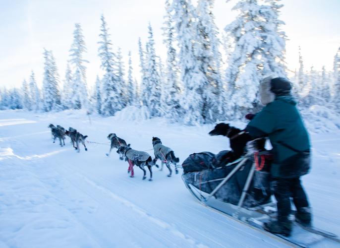 Dan Kaduce takes first place in Summit Quest 300 | Alaska News ...