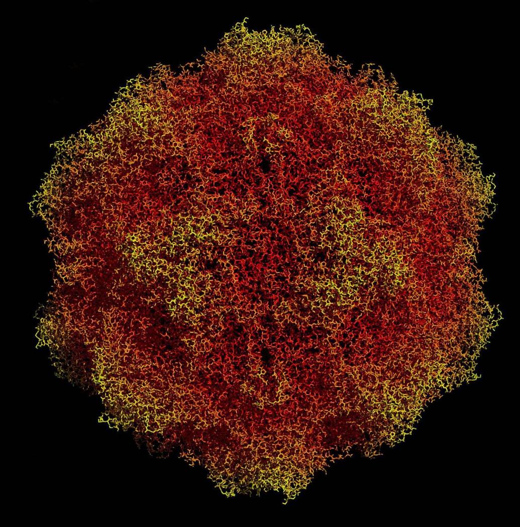 A history of parvo and what you can do to keep your dog safe ...