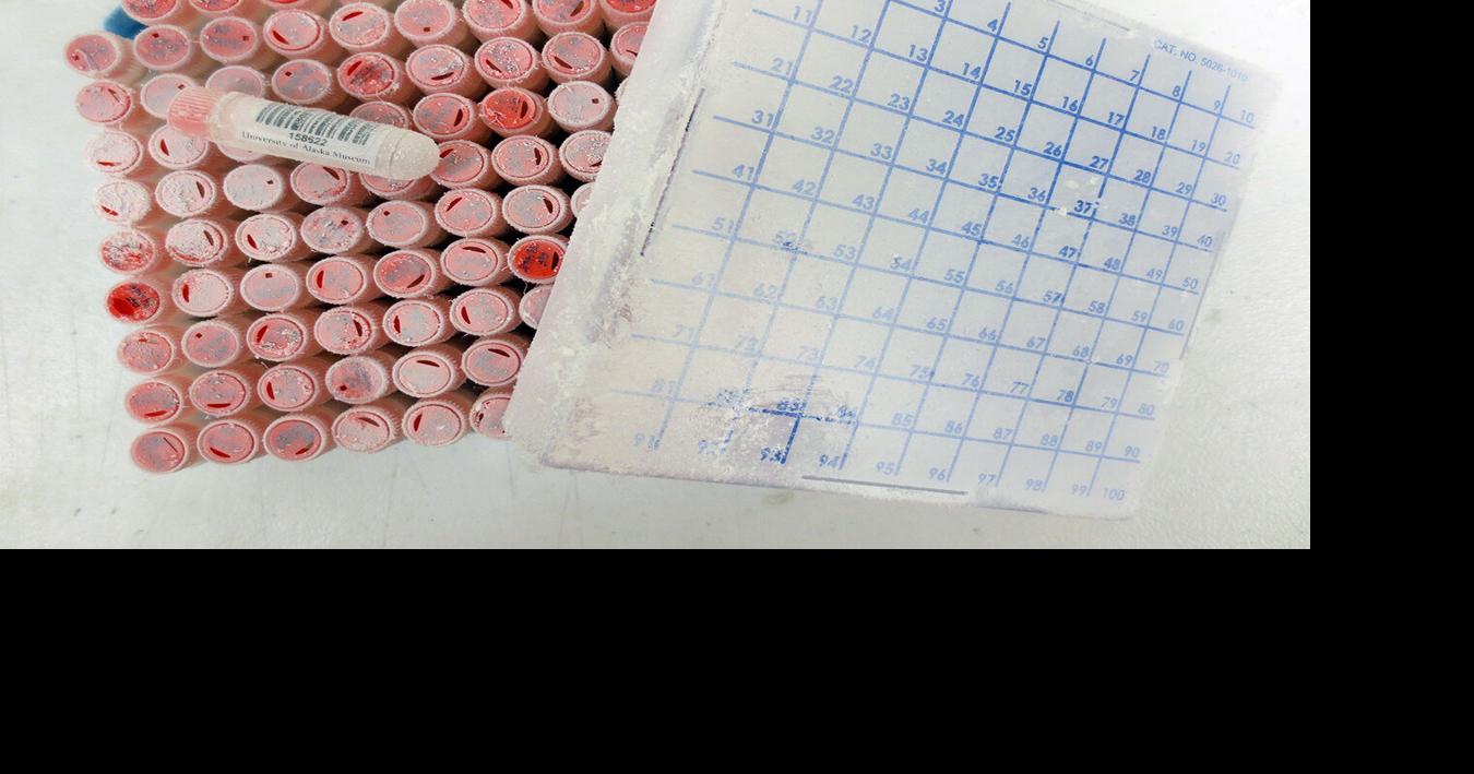Museum's frozen biological samples provide a wealth of information for ...