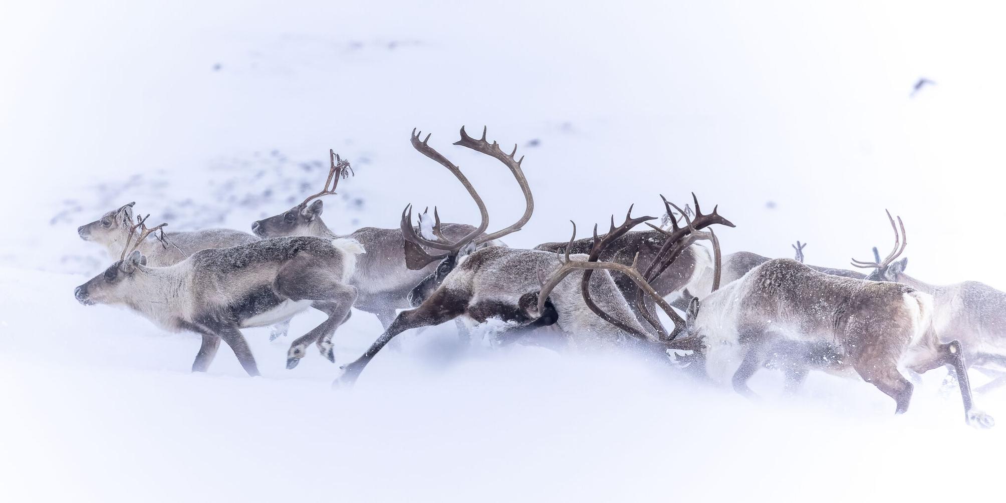 Describing Alaska in words and photographs | Outdoors | newsminer.com