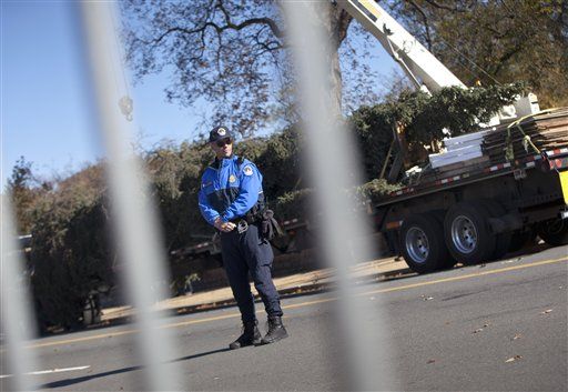 Lutz spruce from Alaska arrives on Capitol lawn | Alaska News ...
