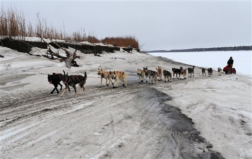Iditarod - Yukon River | Iditarod | newsminer.com