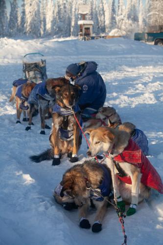 Dan Kaduce takes first place in Summit Quest 300 | Alaska News ...