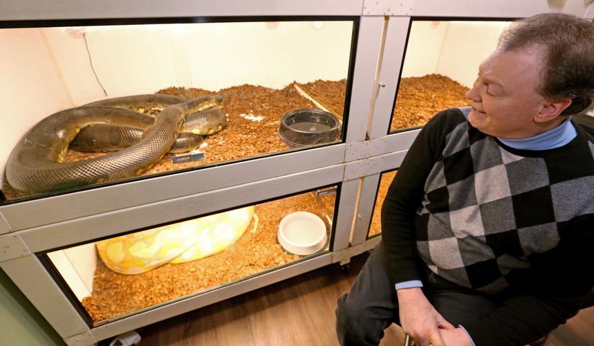 Alison and Kevin Lankford are sssimpatico about reptiles | Local News ...