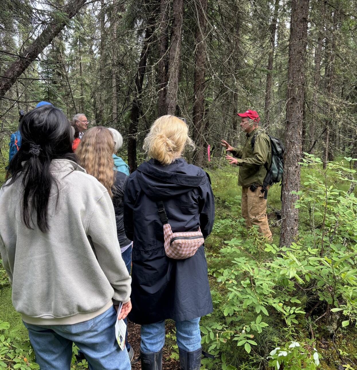 Immersive walk through the Yankovich Road Fire opens at UAF | Local ...