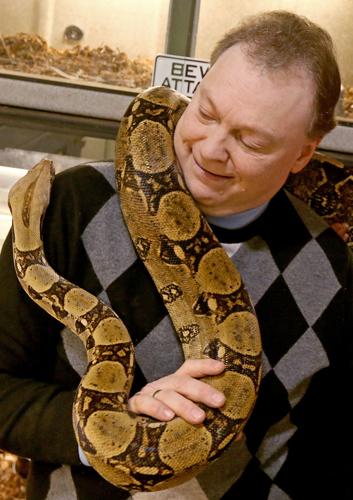 Alison and Kevin Lankford are sssimpatico about reptiles | Local News ...