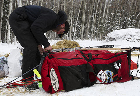 Yukon Quest middle-of-the-pack mushers getting strategic | Yukon Quest ...