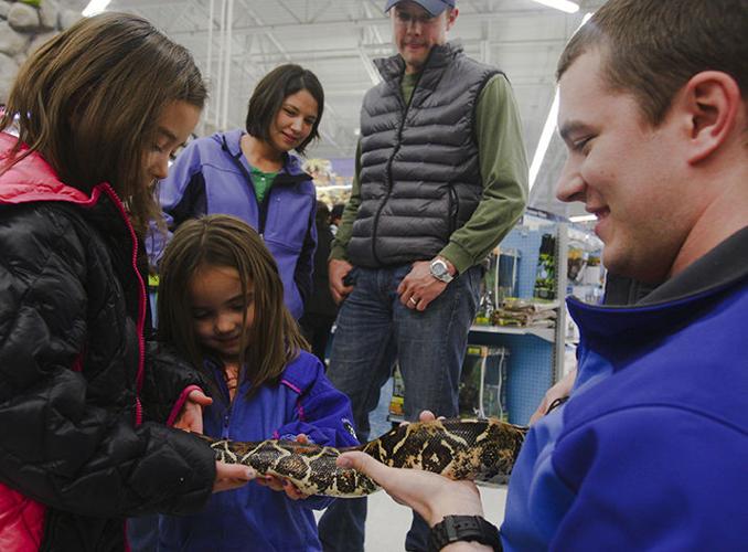 Fairbanks reptile rally connects animals with homes | Local News ...