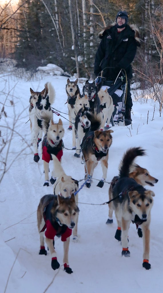 2016 Yukon Quest - Pelly Crossing | Yukon Quest | newsminer.com