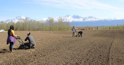 State opens specialty crops application period | Alaska News ...