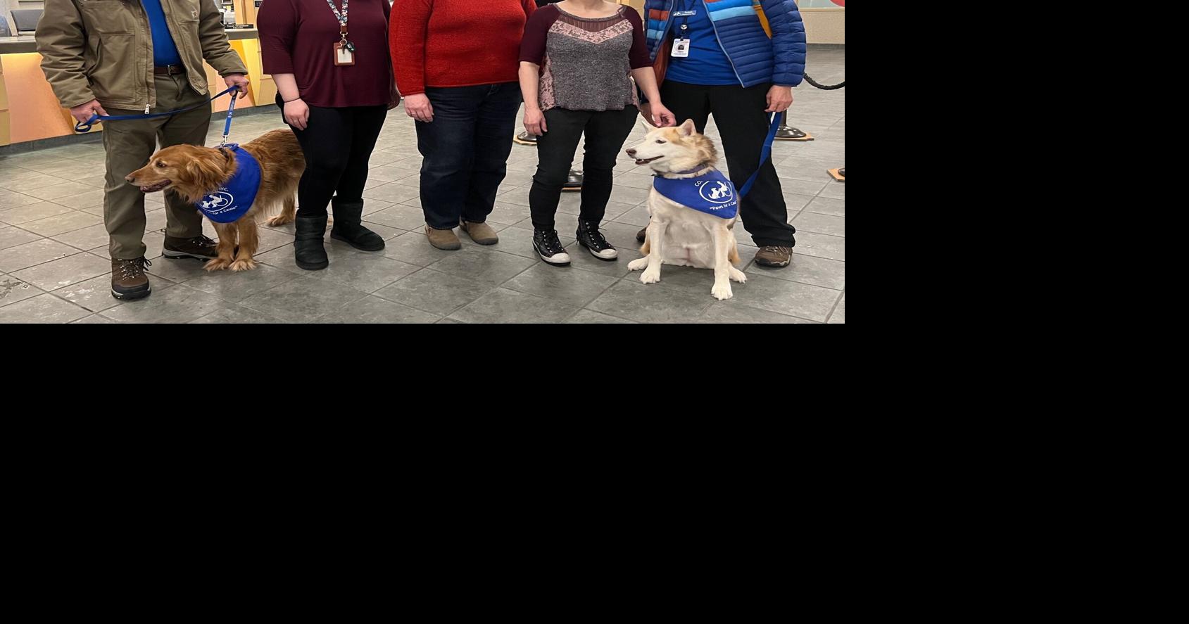 Dogs deliver personal thank you to bank employees | Local Business ...