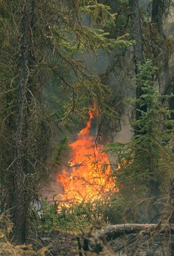 Rex Complex Fire flares up; more than 400 assigned to battle | Alaska ...