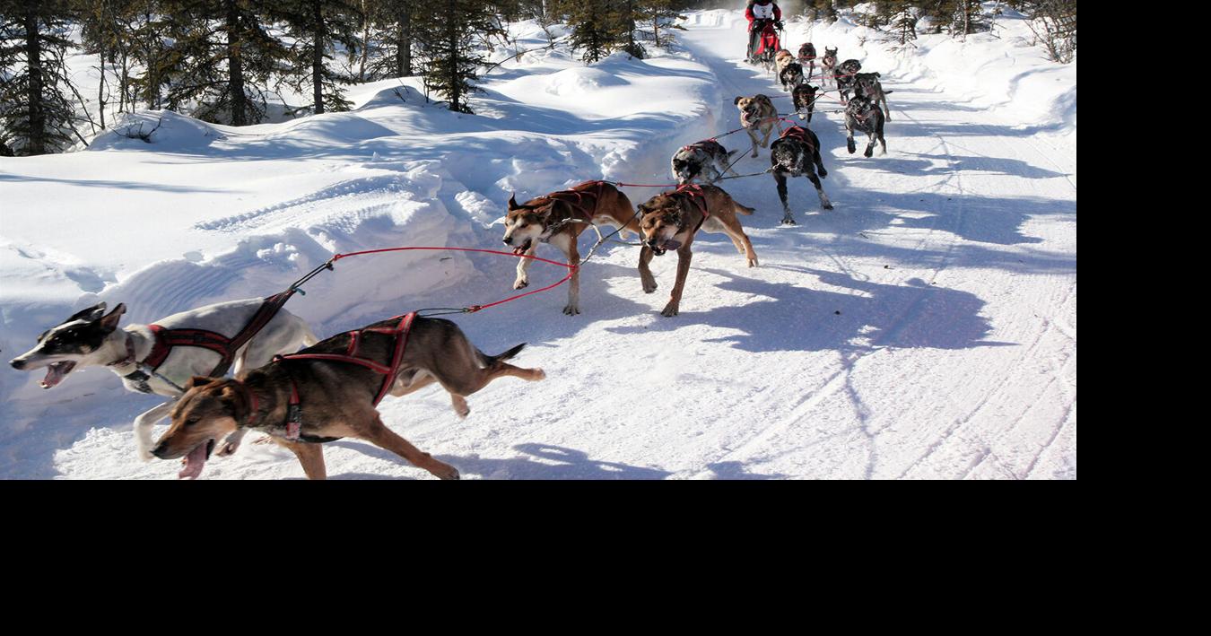 Defending champion Buddy Streeper leads in Open North American ...