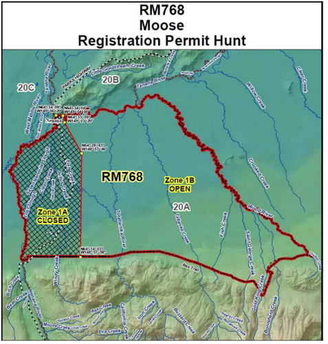 Online registration only for antlerless moose hunt | Outdoors ...